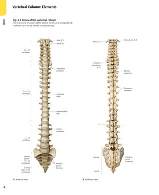 Atlas of Anatomy 4th Edition.Pdf