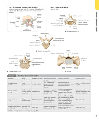 Atlas of Anatomy 4th Edition.Pdf