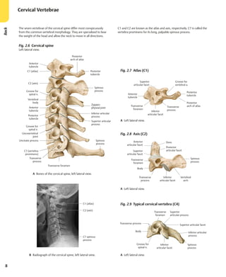 Atlas of Anatomy 4th Edition.Pdf