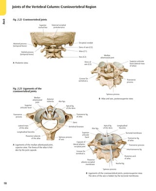 Atlas of Anatomy 4th Edition.Pdf