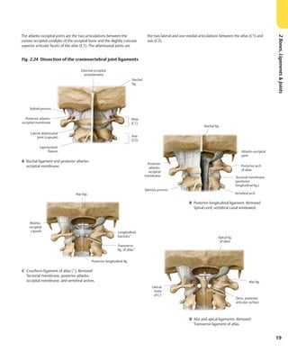 Atlas of Anatomy 4th Edition.Pdf
