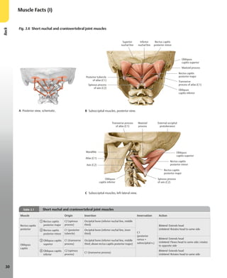 Atlas of Anatomy 4th Edition.Pdf
