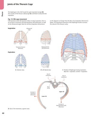 Atlas of Anatomy 4th Edition.Pdf