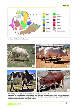 Atlas of biogeography and biodiversity of indiginous domestic and ...