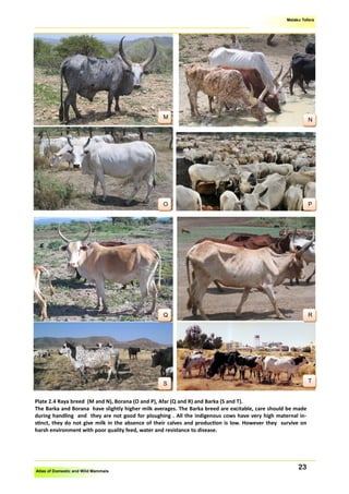 Atlas of biogeography and biodiversity of indiginous domestic and ...