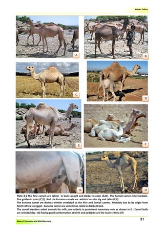 Atlas of biogeography and biodiversity of indiginous domestic and ...