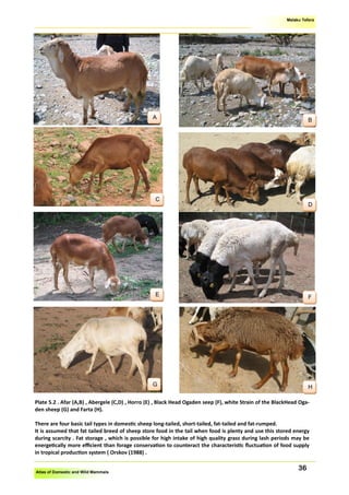 Atlas of biogeography and biodiversity of indiginous domestic and ...