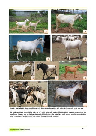 Atlas of biogeography and biodiversity of indiginous domestic and ...