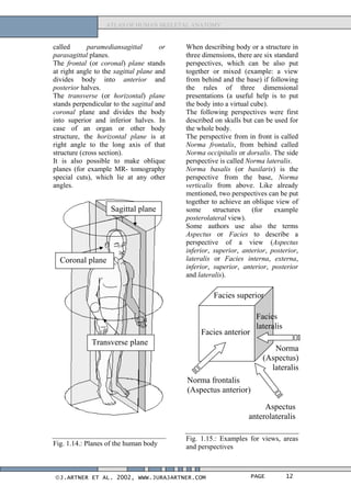 Atlas of human_skeletal_anatomy | PDF