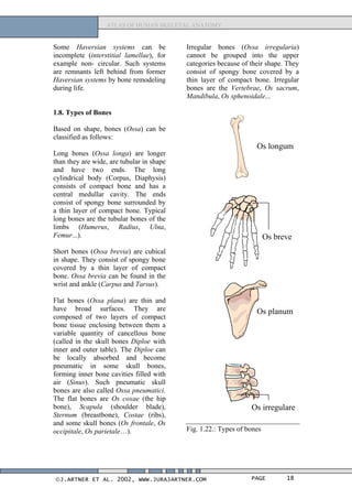 Atlas of human_skeletal_anatomy | PDF