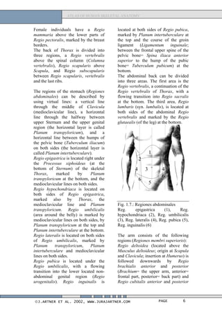 Atlas of human_skeletal_anatomy | PDF