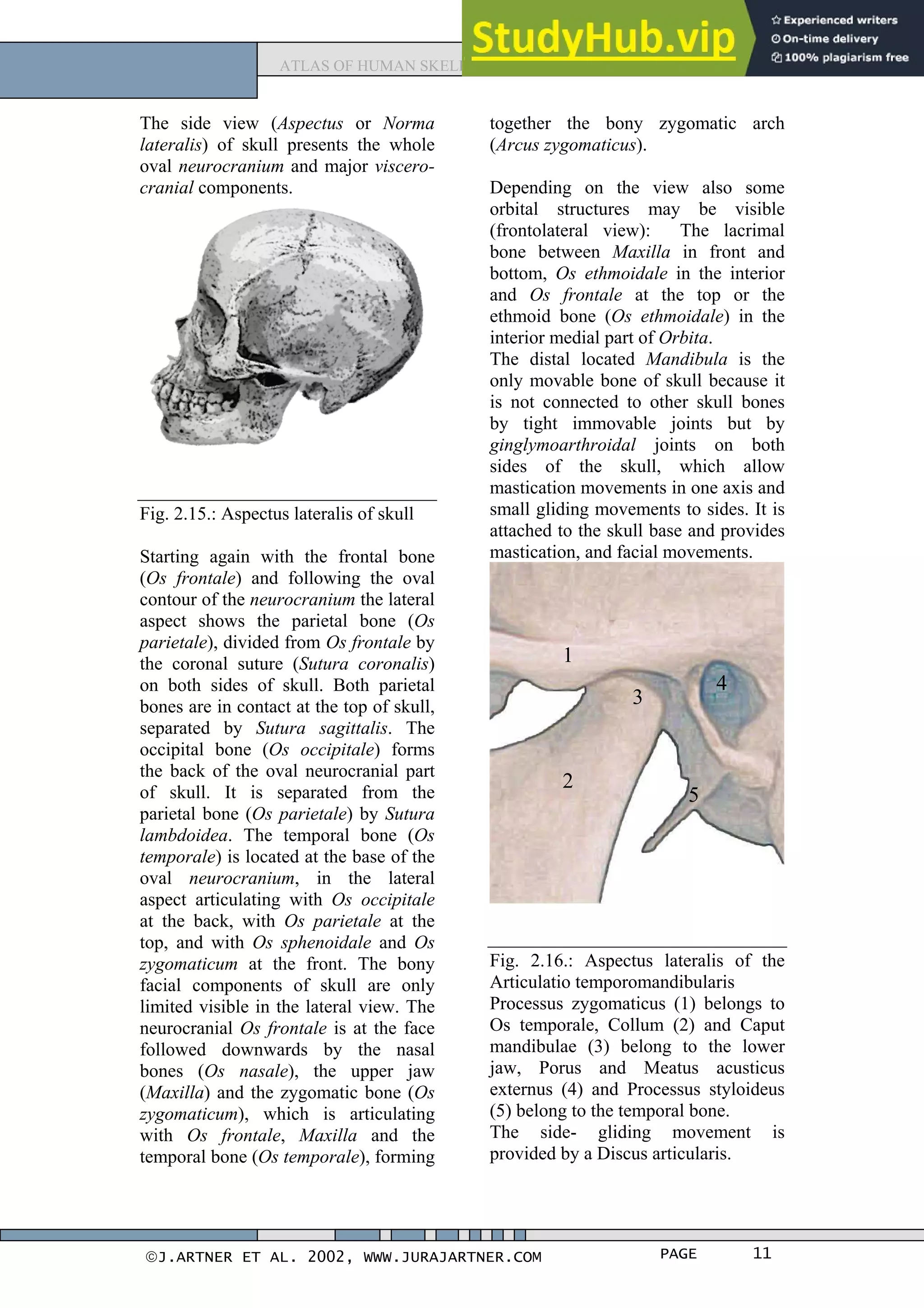 ATLAS OF HUMAN SKELETAL ANATOMY ATLAS OF HUMAN SKELETAL ANATOMY Cranium ...