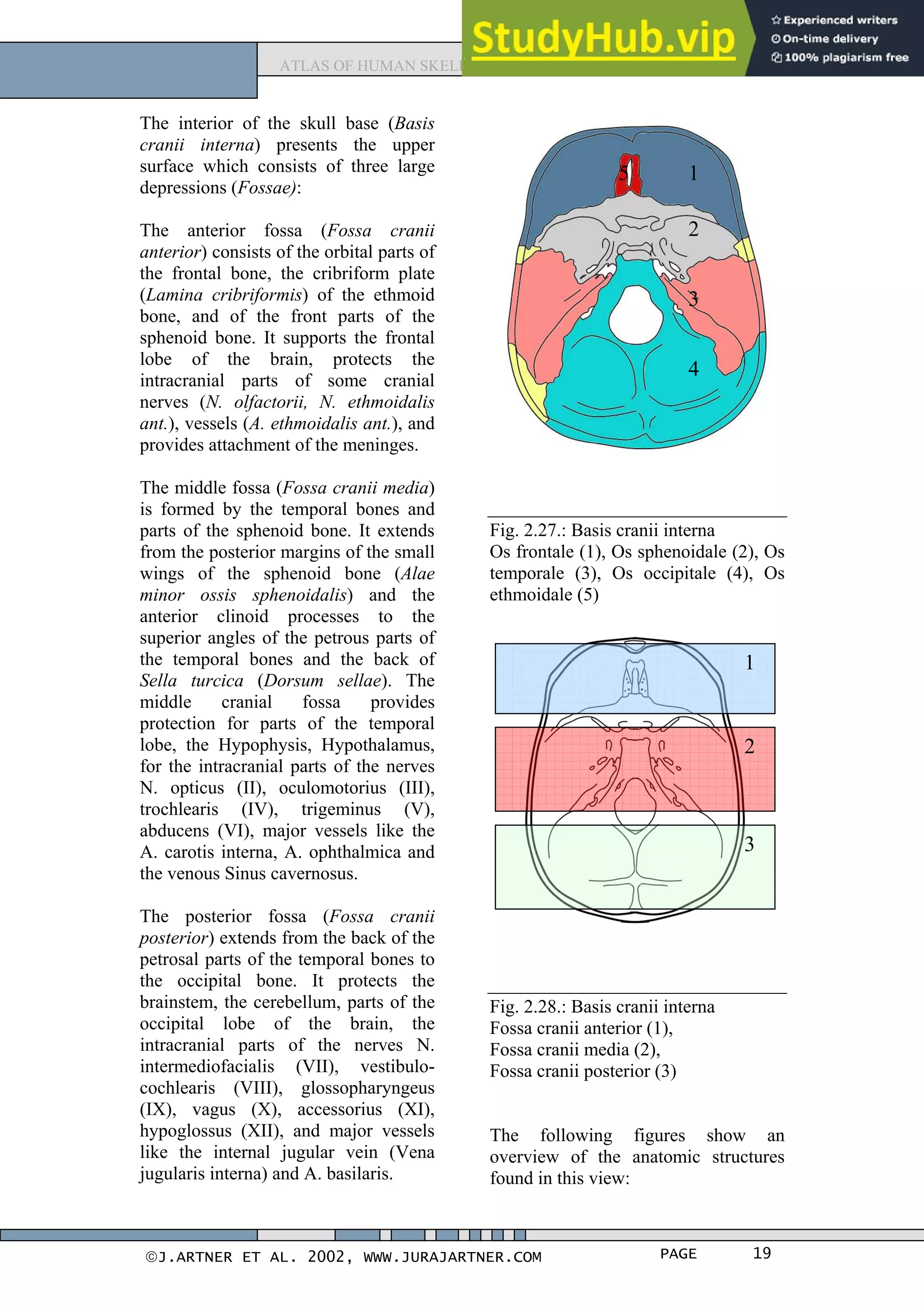 ATLAS OF HUMAN SKELETAL ANATOMY ATLAS OF HUMAN SKELETAL ANATOMY Cranium ...