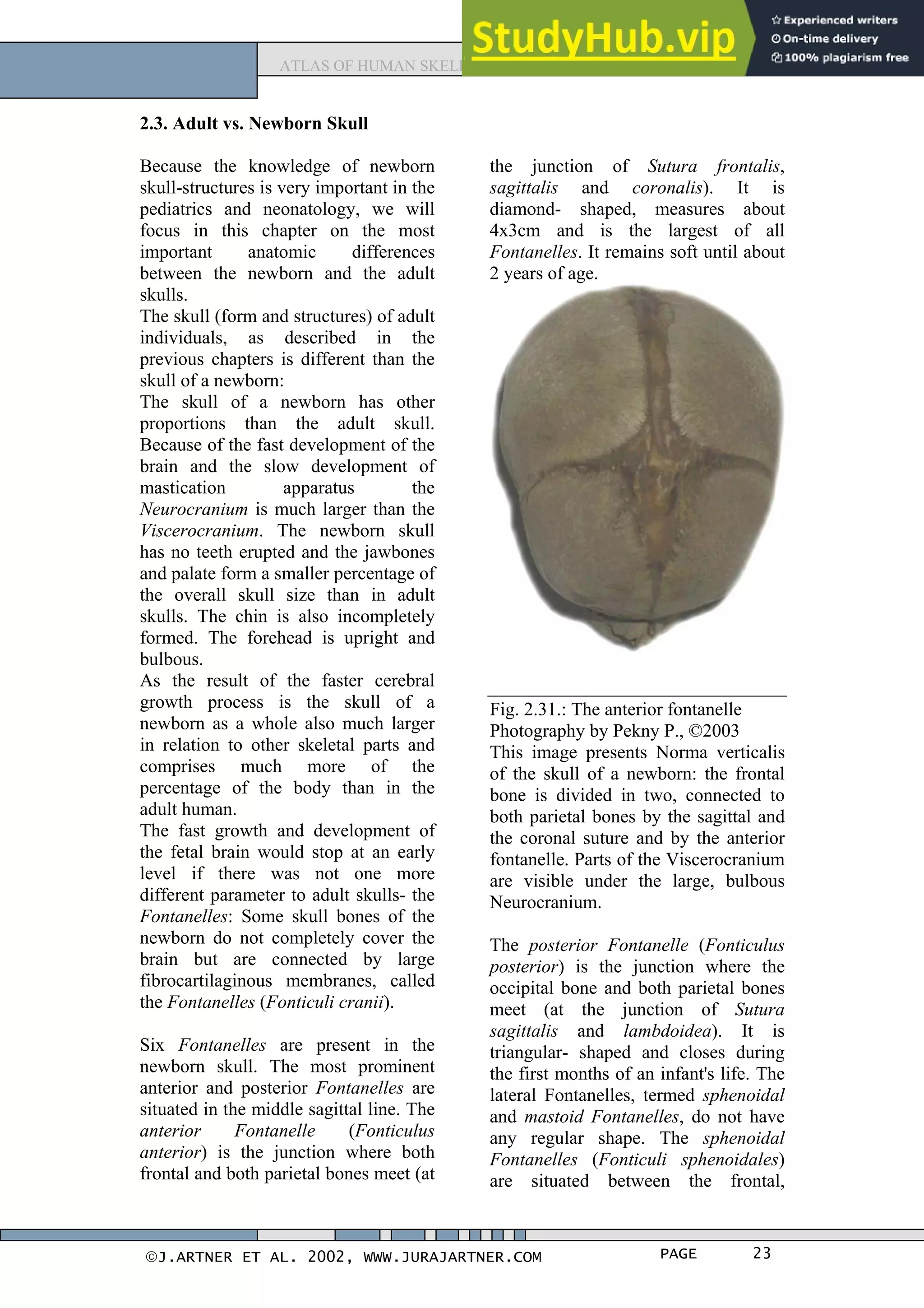 ATLAS OF HUMAN SKELETAL ANATOMY ATLAS OF HUMAN SKELETAL ANATOMY Cranium ...