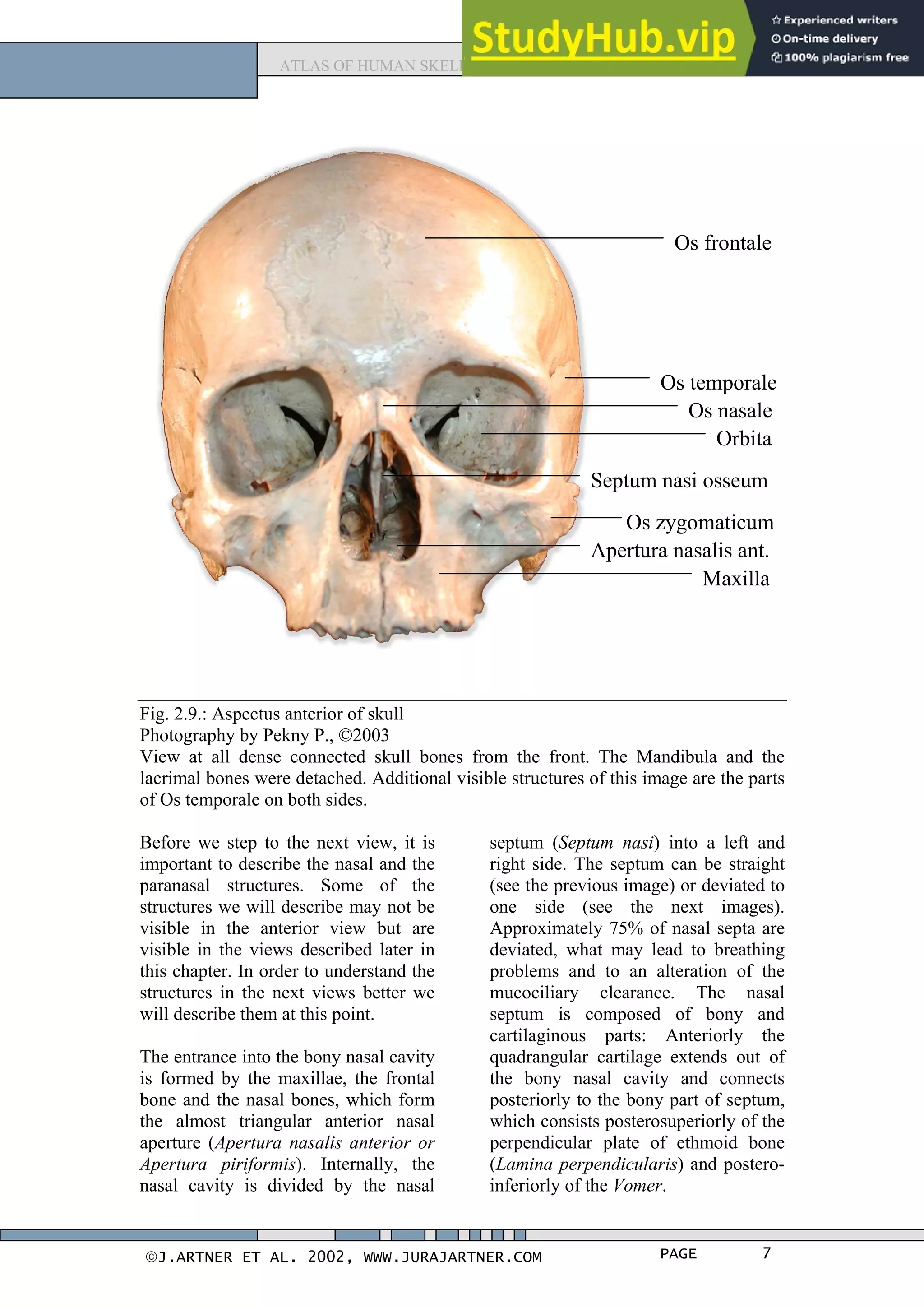 ATLAS OF HUMAN SKELETAL ANATOMY ATLAS OF HUMAN SKELETAL ANATOMY Cranium ...
