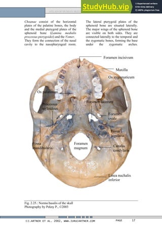 ATLAS OF HUMAN SKELETAL ANATOMY ATLAS OF HUMAN SKELETAL ANATOMY Cranium ...