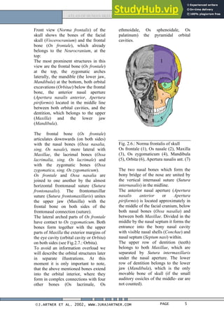 ATLAS OF HUMAN SKELETAL ANATOMY ATLAS OF HUMAN SKELETAL ANATOMY Cranium The Skull-Anatomy | PDF