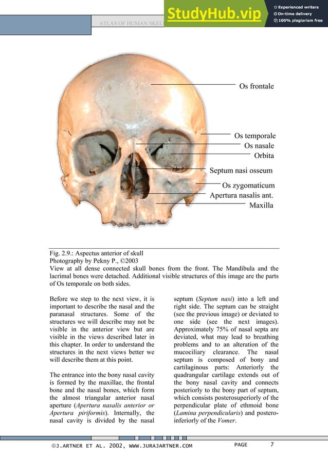 ATLAS OF HUMAN SKELETAL ANATOMY ATLAS OF HUMAN SKELETAL ANATOMY Cranium ...