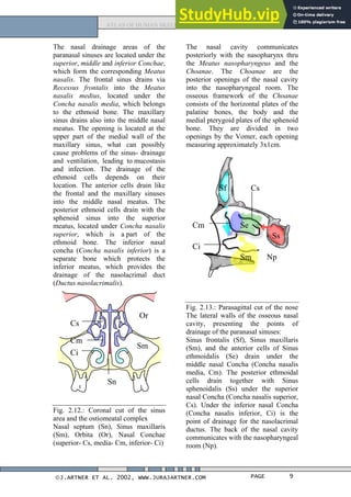 ATLAS OF HUMAN SKELETAL ANATOMY ATLAS OF HUMAN SKELETAL ANATOMY Cranium ...