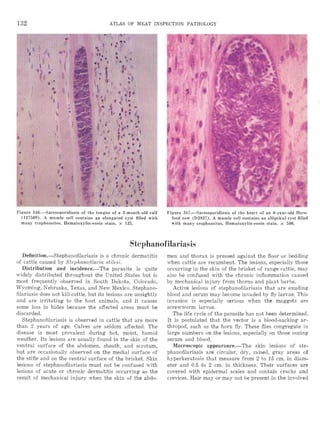 Atlas of meat inspection pathology | PDF
