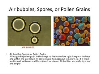 Atlas of Microscopic Artifacts.pdf