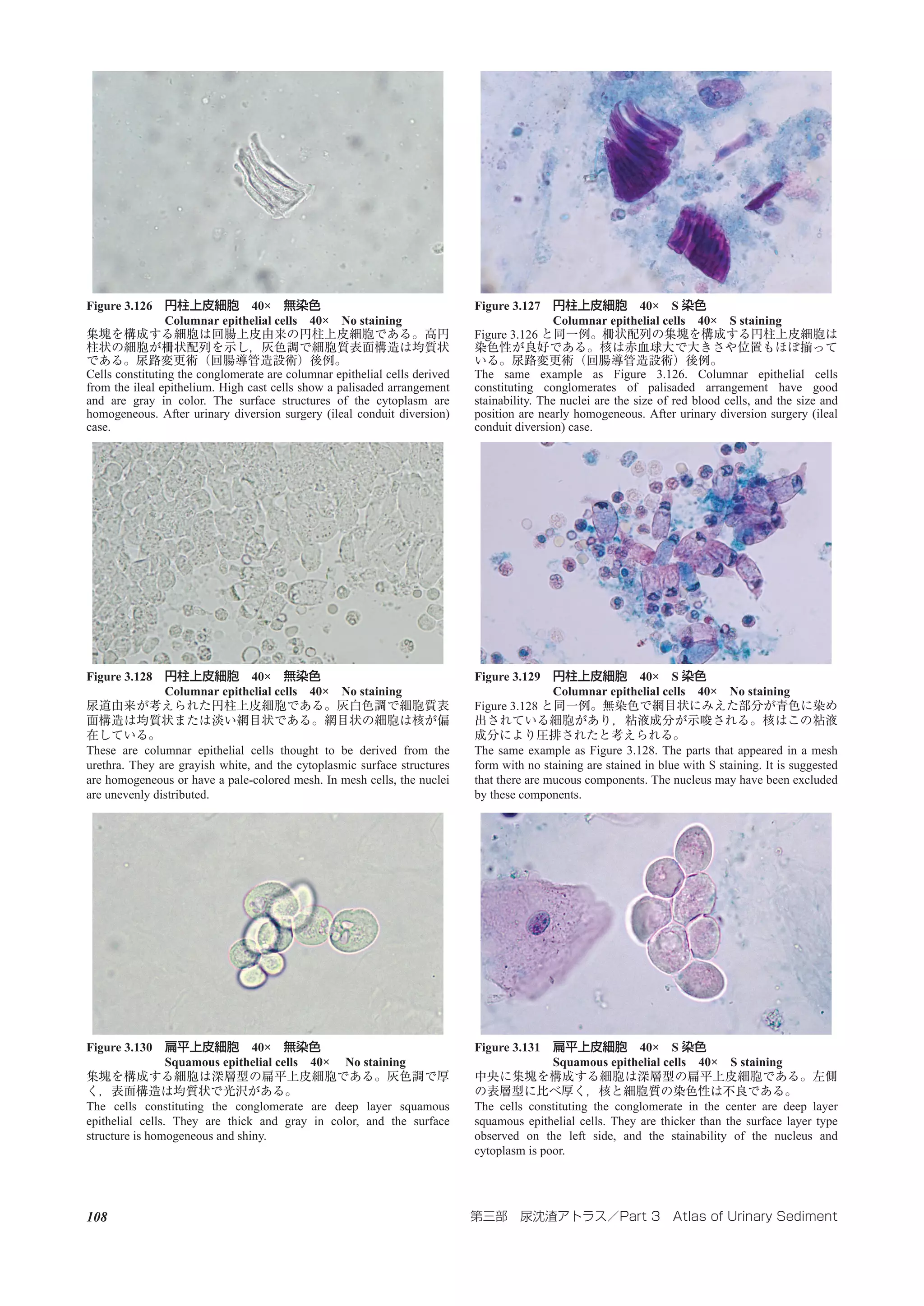 Atlas of urinary_sediment | PDF