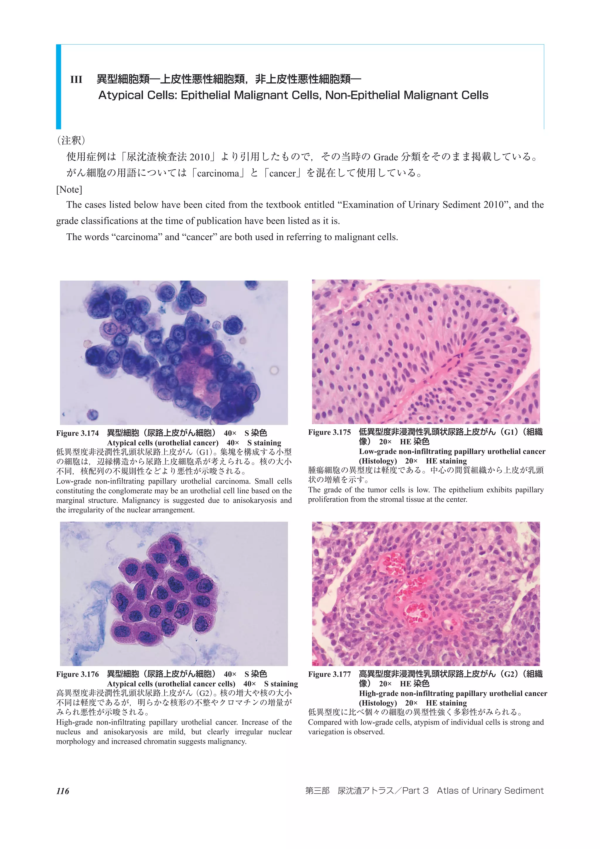 Atlas of urinary_sediment | PDF