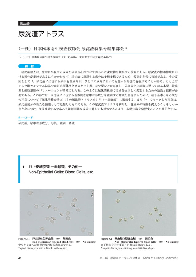 Ames Atlas Of Urine Sediment Chart