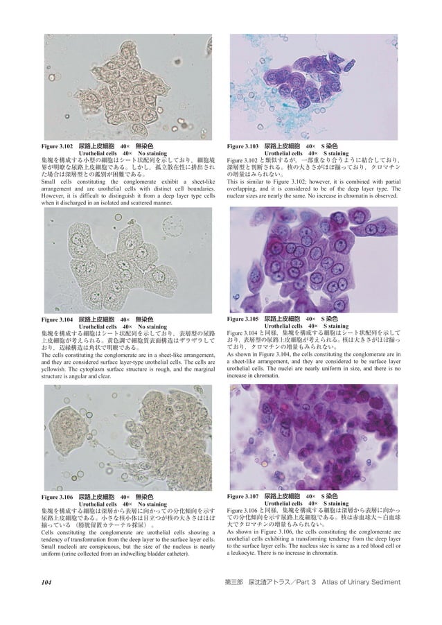 Atlas of urinary_sediment | PDF