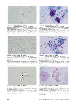 Atlas of urinary_sediment | PDF