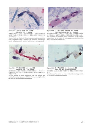 Atlas of urinary_sediment | PDF