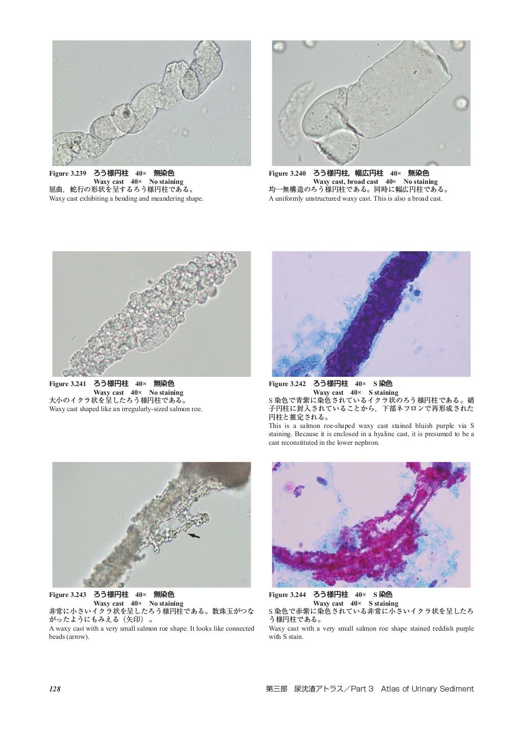 Atlas of urinary_sediment