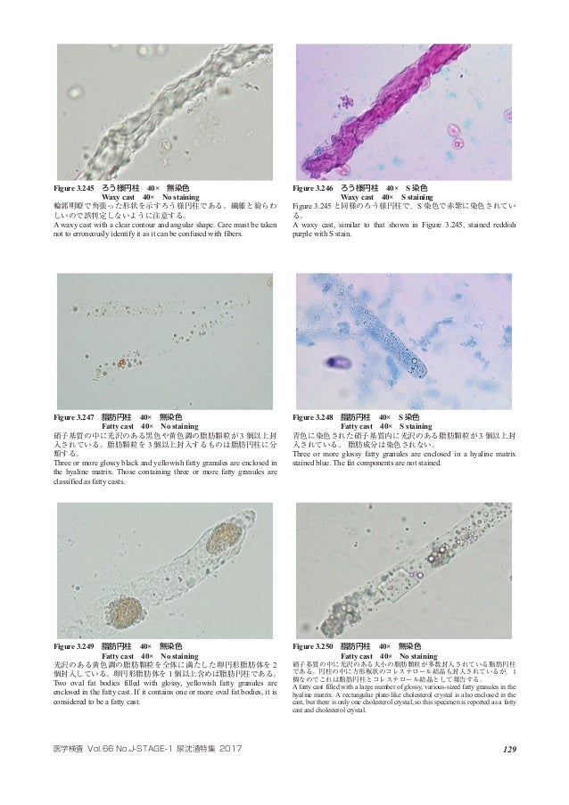 Atlas of urinary_sediment