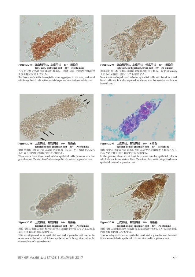 Atlas of urinary_sediment