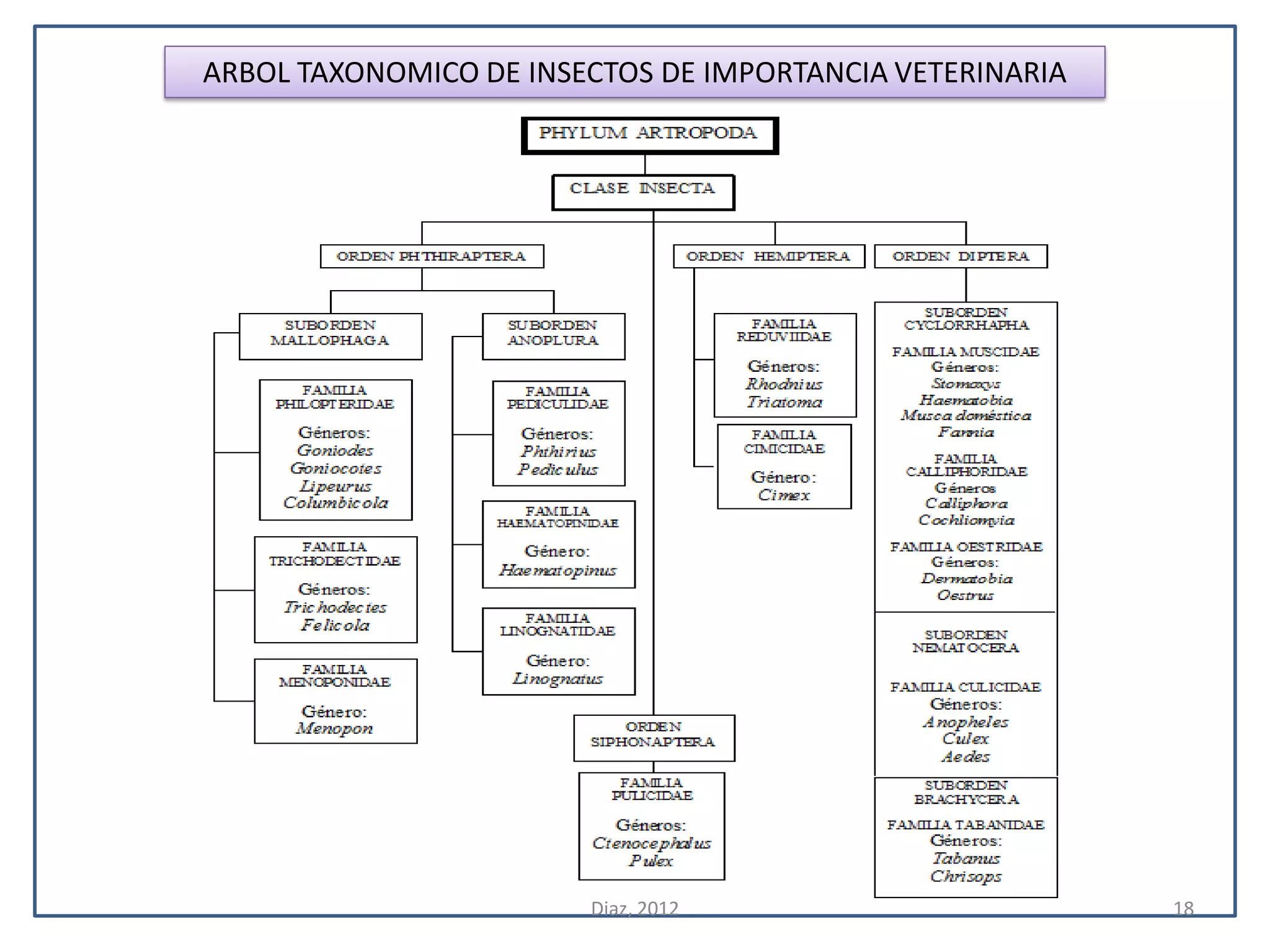 Atlas De Parasitologia Veterinaria Pdf