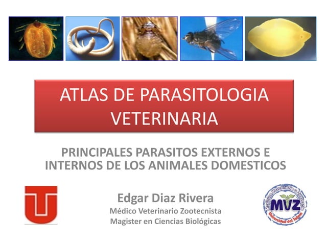 Atlas De Parasitologia Veterinaria Pdf