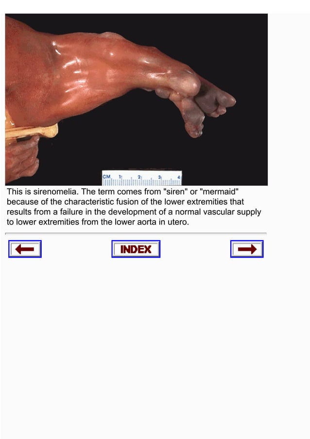 Atlas pediatric perinatal pathology | PDF | Pregnancy | Reproductive Health