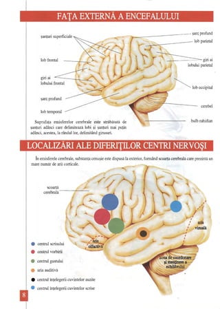 Atlas scolar anatomie- | PDF