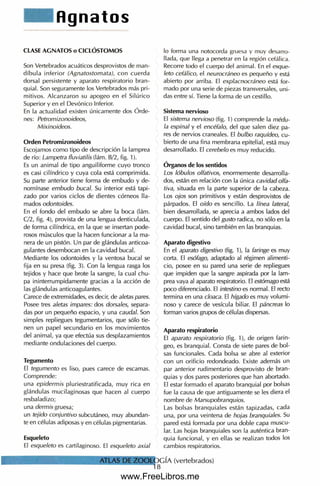 Atlas_Tematico_Zoologia_Vertebrados_B_Lu (1).pdf
