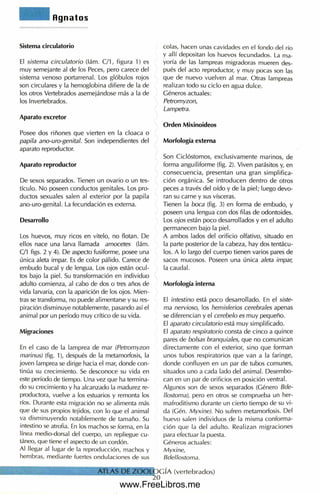 Atlas_Tematico_Zoologia_Vertebrados_B_Lu (1).pdf