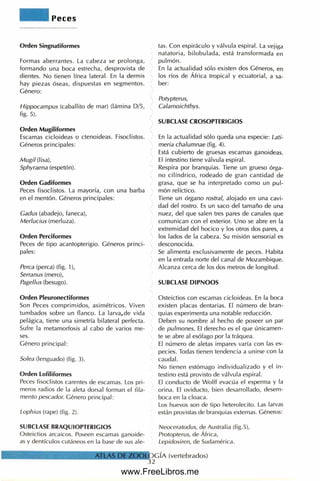 Atlas_Tematico_Zoologia_Vertebrados_B_Lu (1).pdf