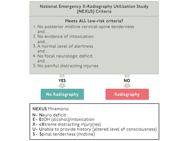 ATLS 10th Edition Compendium of Change | PDF | First Aid | Injuries