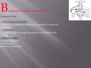 Atls (advance trauma life support) PRIMARY SURVEY | PPTX