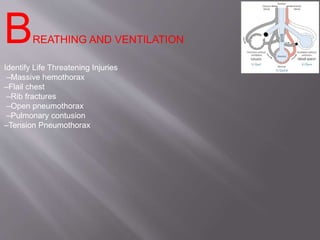 Atls (advance trauma life support) PRIMARY SURVEY | PPTX