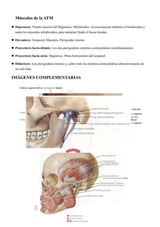 Atm | PDF