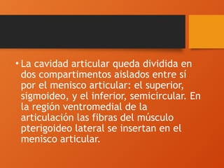 ATM. articulación temporomandibular en odontología | PPTX