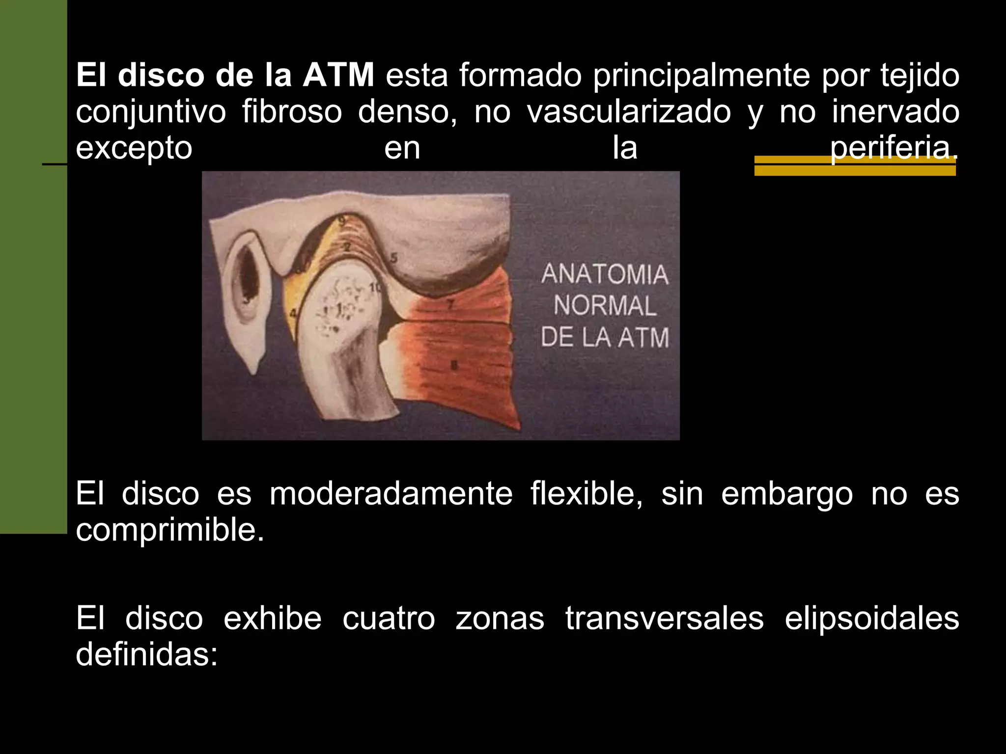 ARTICULACION TEMPORO MANDIBULAR | PPTX