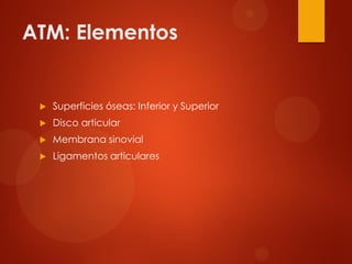 Anatomía de la ATM | PDF