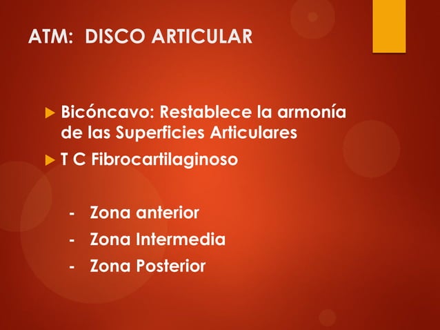 Anatomía de la ATM | PDF