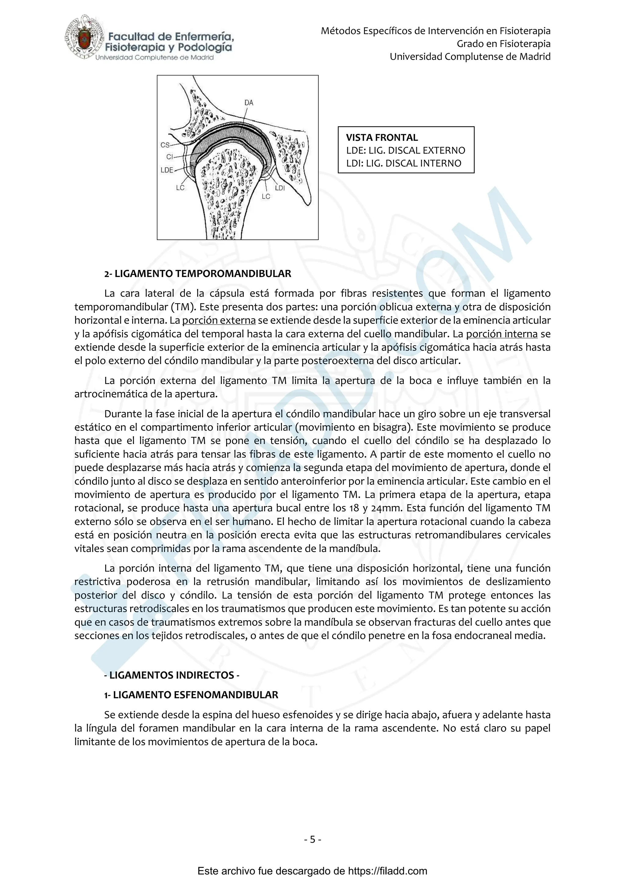 ATM Anatomía y Biomecánica - Art. Temporo Mandibularpdf | PDF